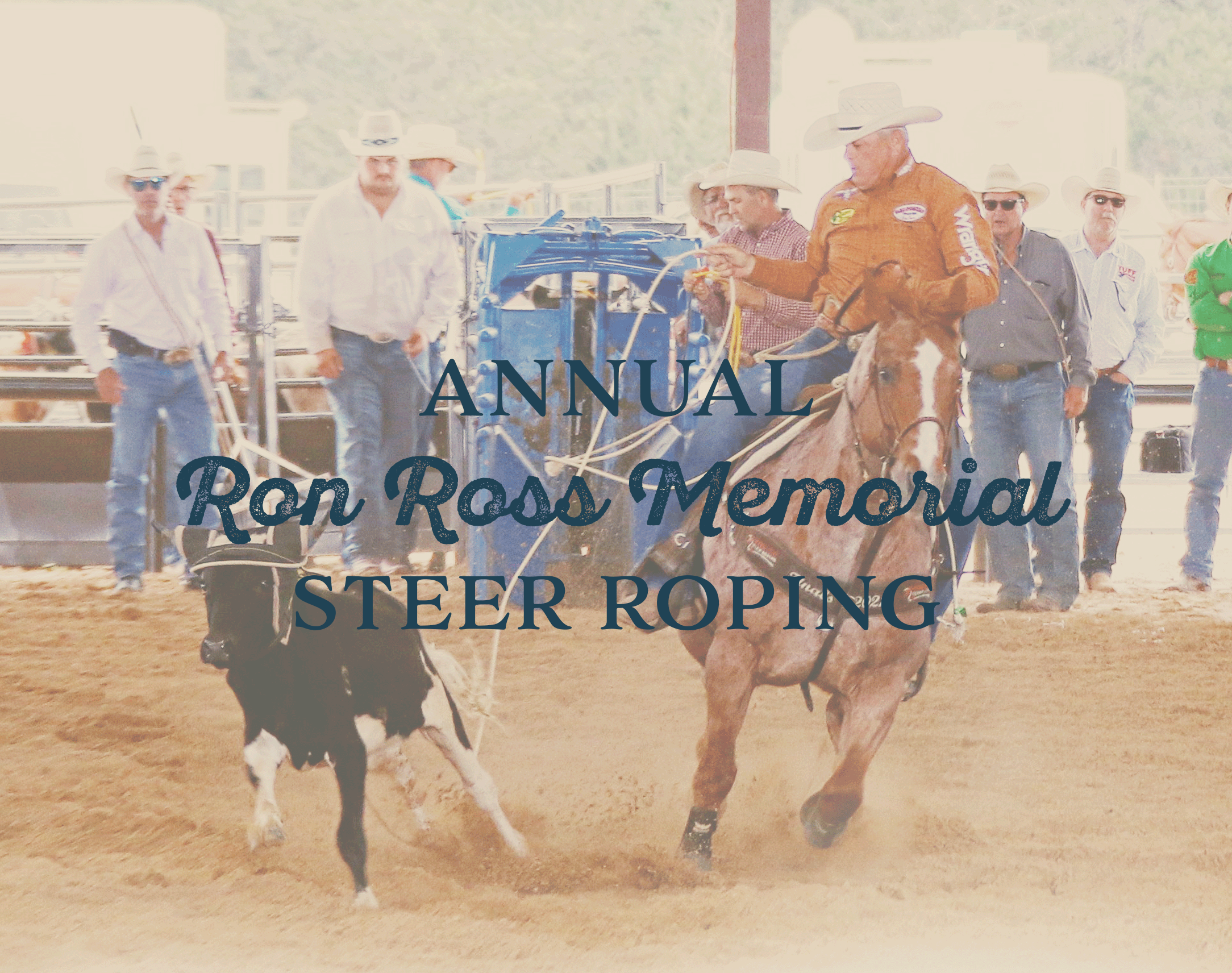 Steer Roping - LHPR